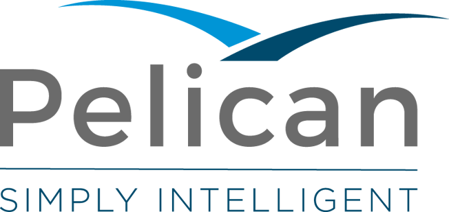 Pelican reports 30 percent growth in 2016 as Intelligent Payment ...